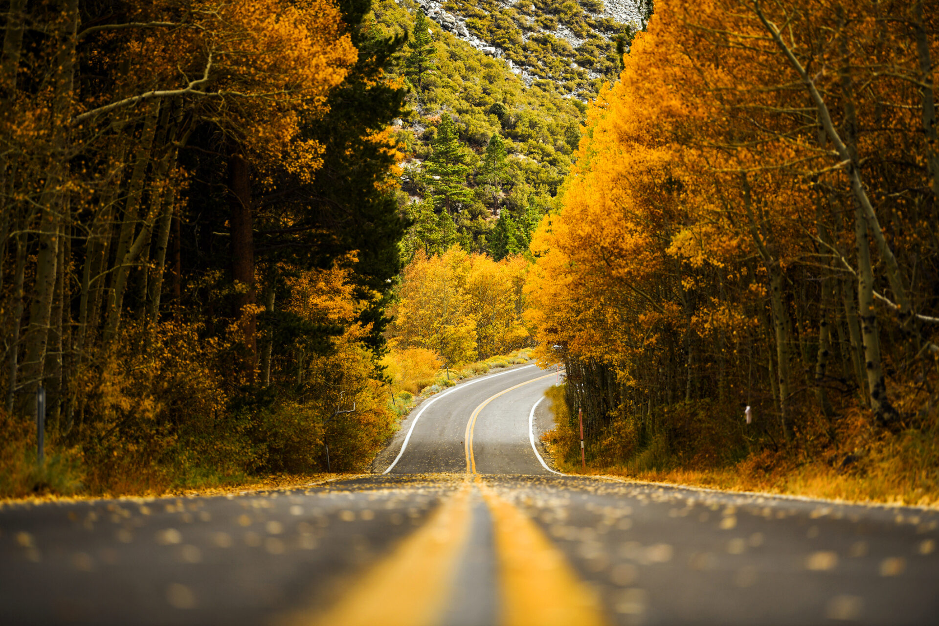 Fall Driving Tips for Flatbed Drivers - System Transport
